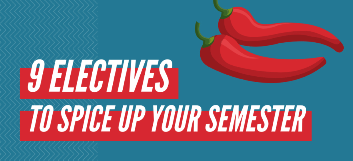 9 Super Fun, Interesting Electives to Spice Up Your Semester | UWA ...